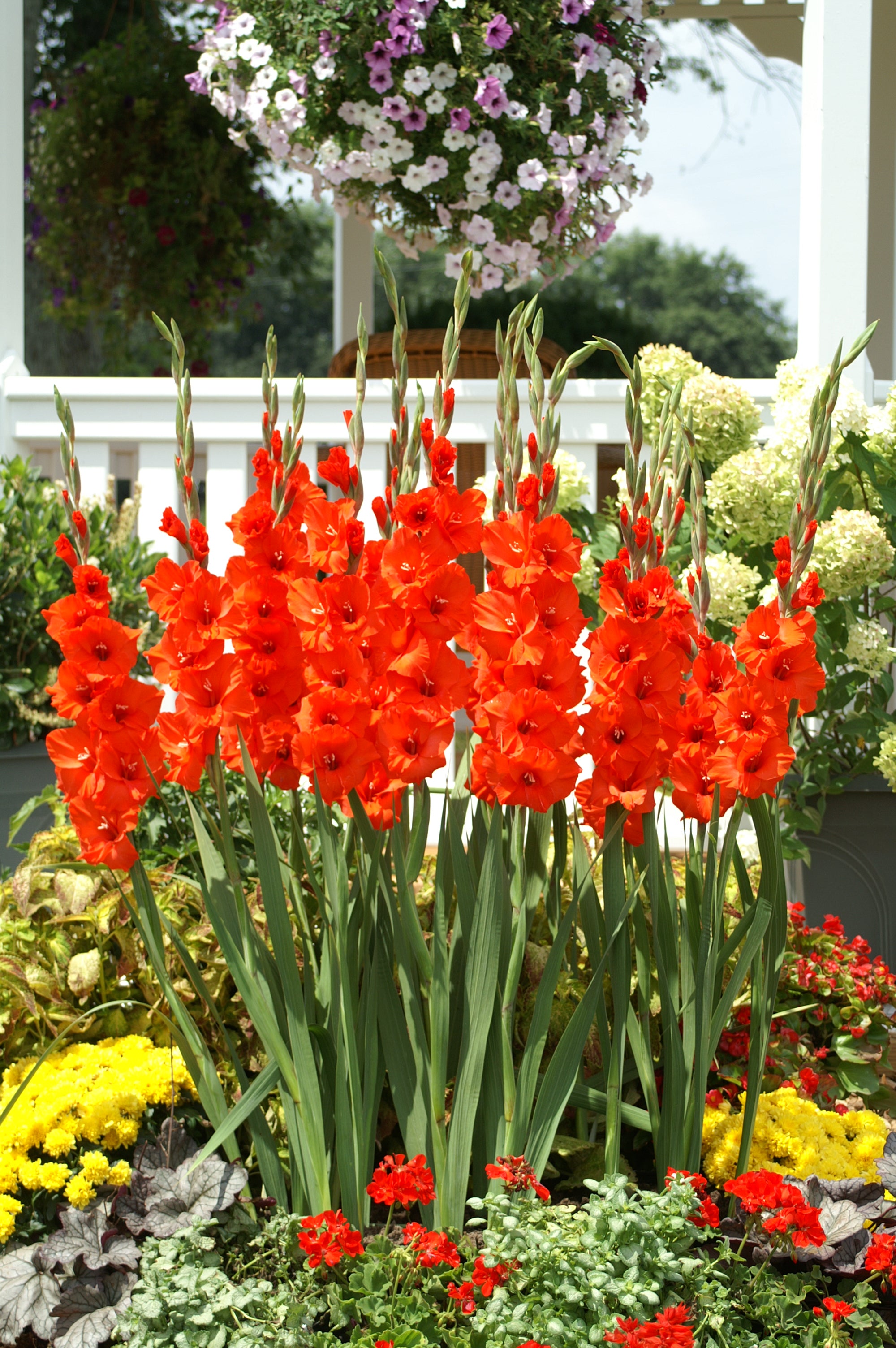 Products | L.M. Bolle & Sons Inc.